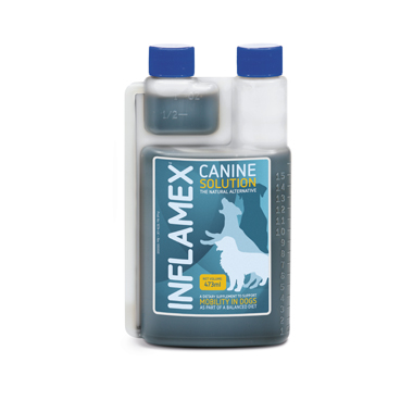 Canine Inflamex Solution w Czterylapki